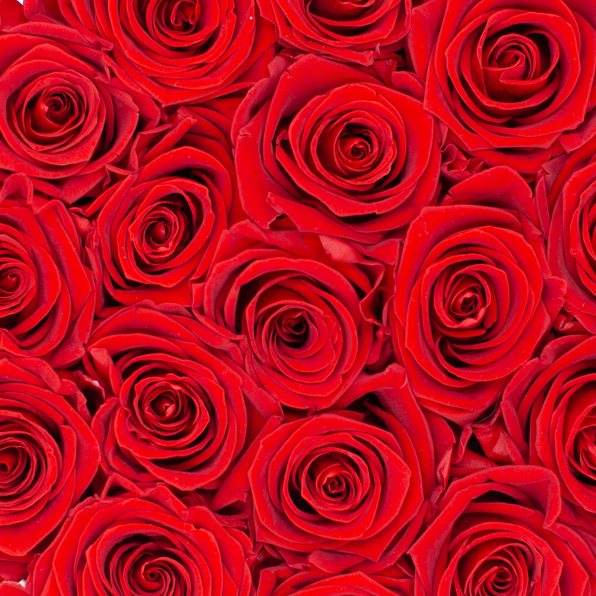"I Love You" Red Infinity Roses In Black Box | Valentine's Roses ...