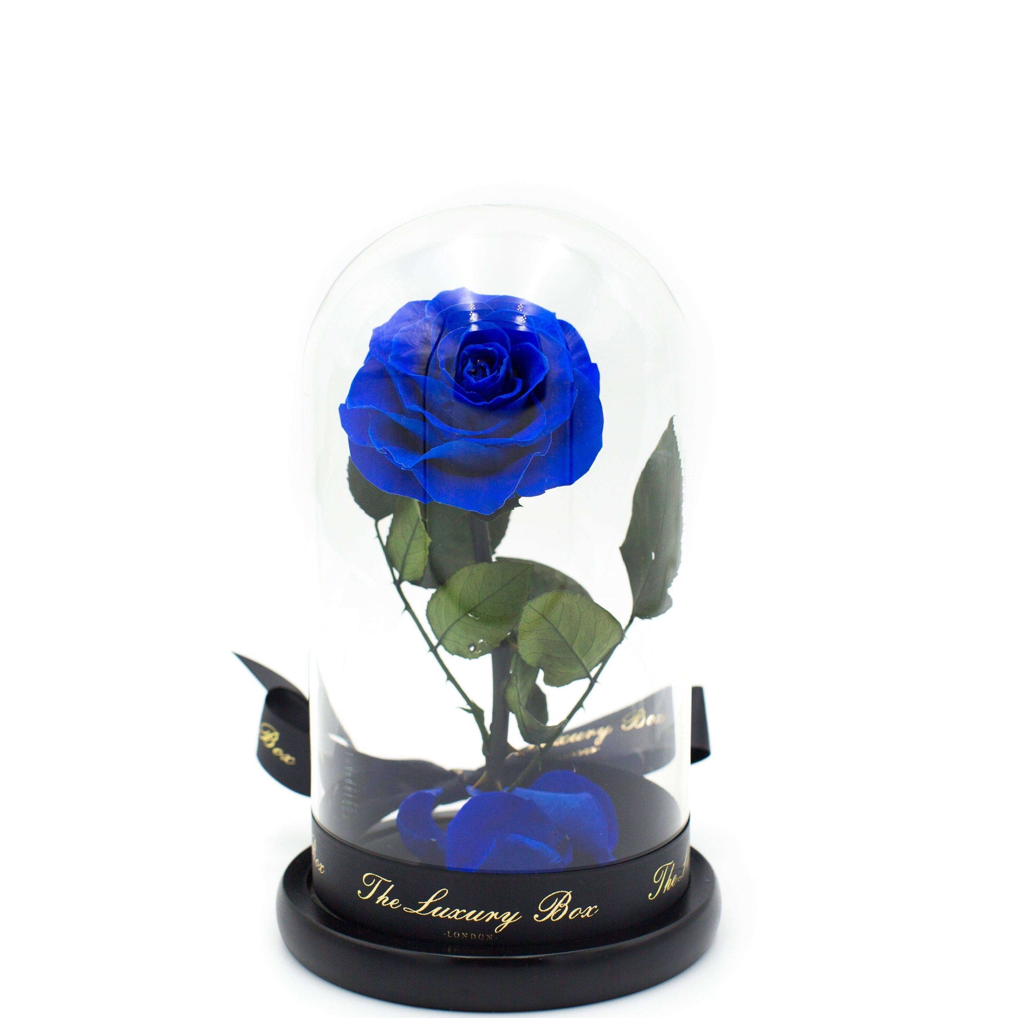 The Luxury Box London | Preserved Blue Rose In Glass Dome | 1-3 years